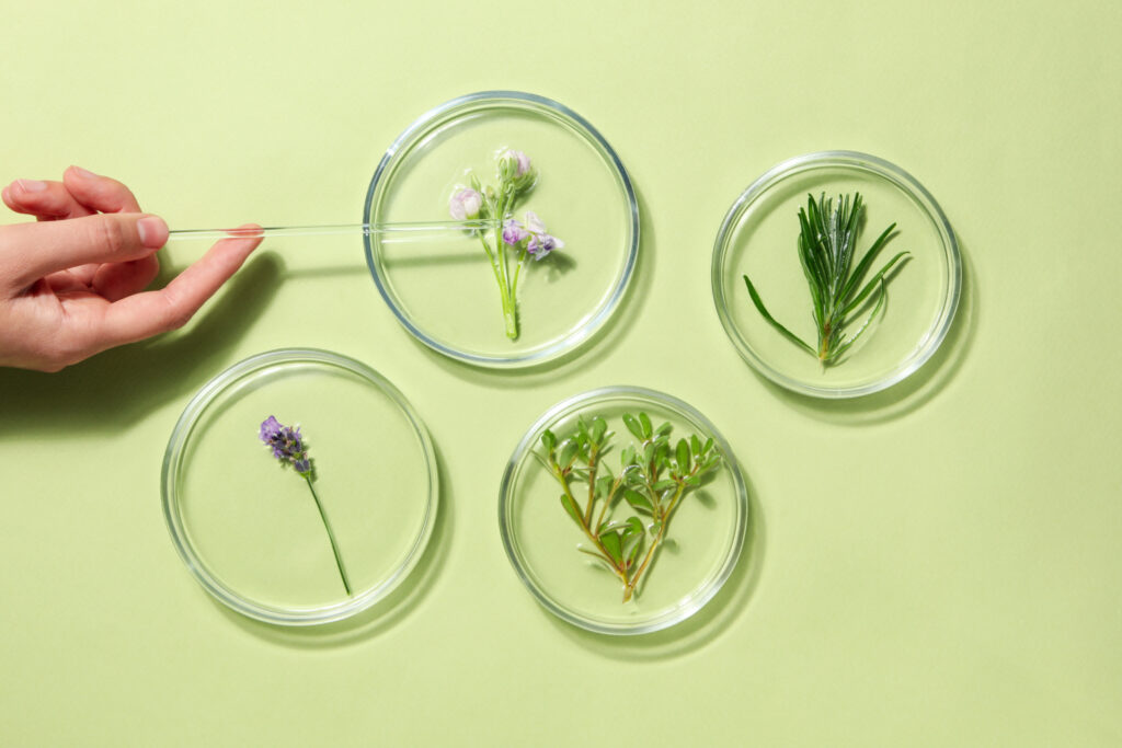 The Benefits of Plant Stem Cells in Skincare · Care to Beauty