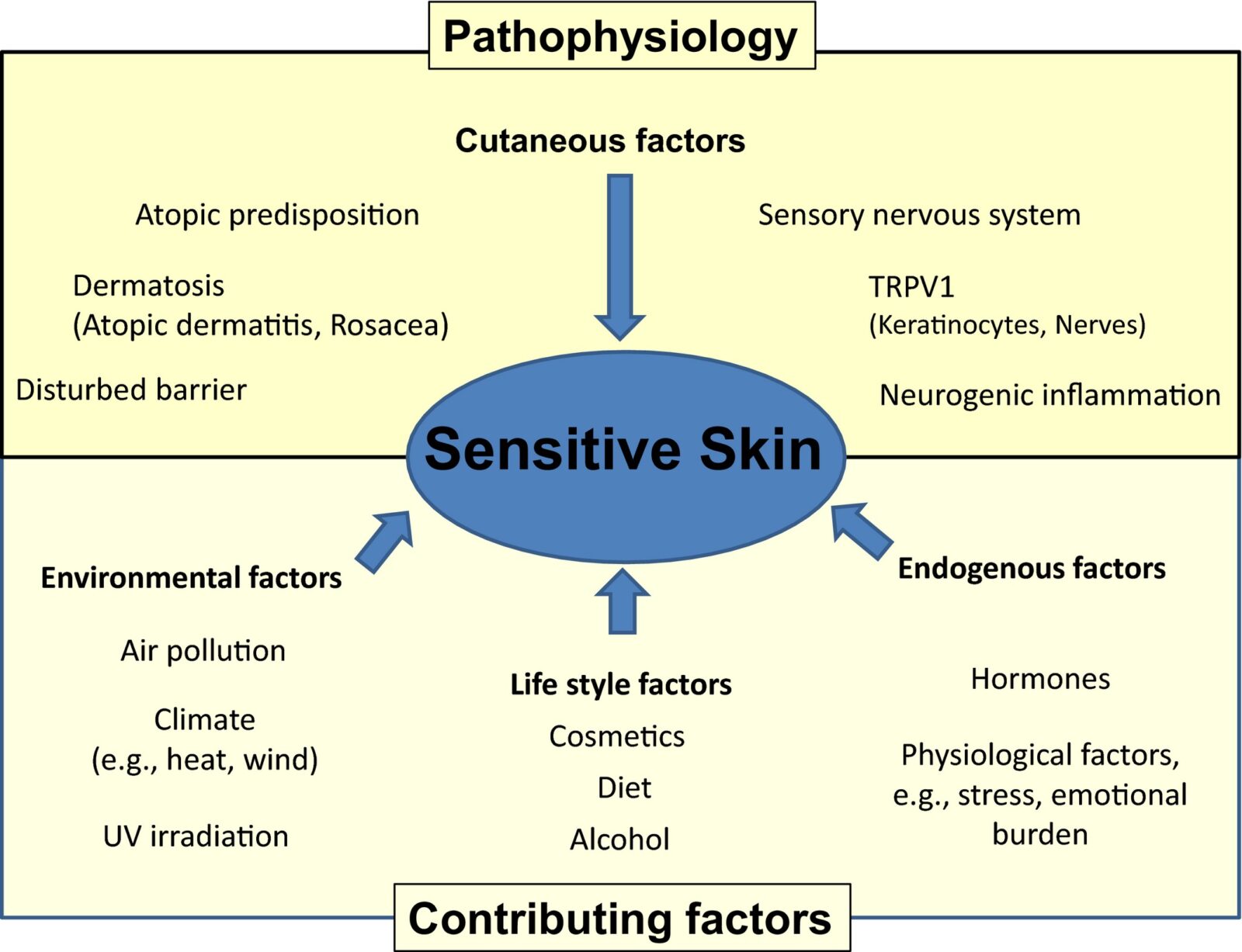 What is Sensitive Skin? All You Need to Know · Care to Beauty