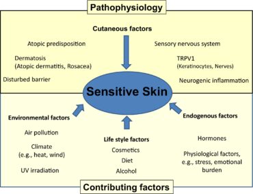 What is Sensitive Skin? All You Need to Know · Care to Beauty
